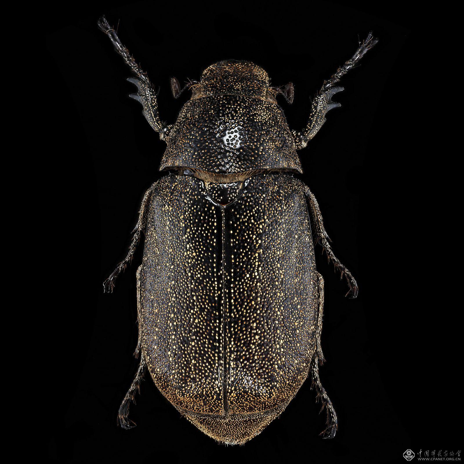 青年影像 | 聂小涵：《视而不见的风景》--中国摄影家协会网