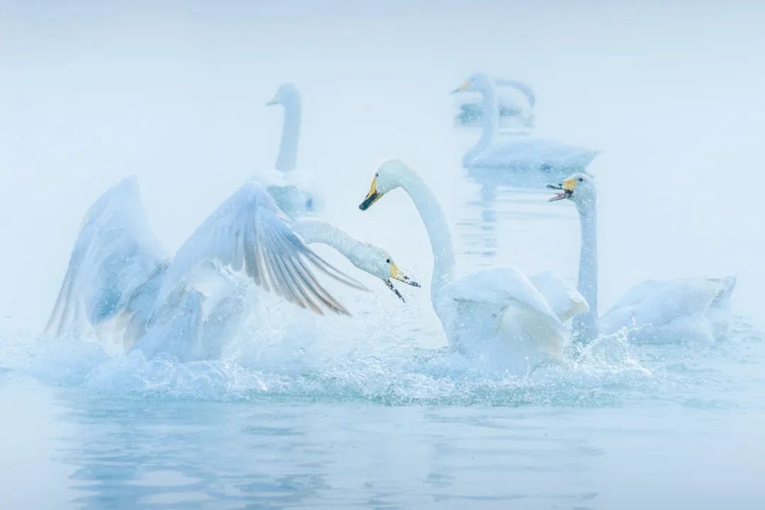 倒计时1天 |第十四届中国摄影艺术节五大看点--中国摄影家协会网